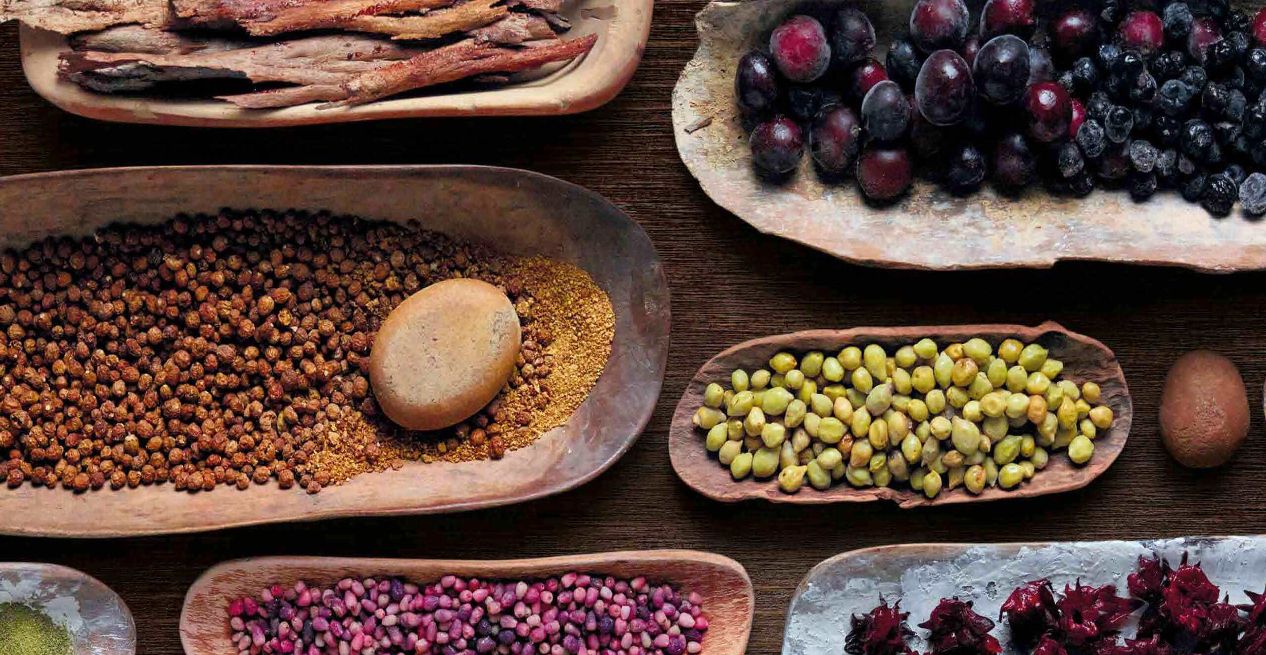 an Aboriginal Culinary Journey | Sage UK